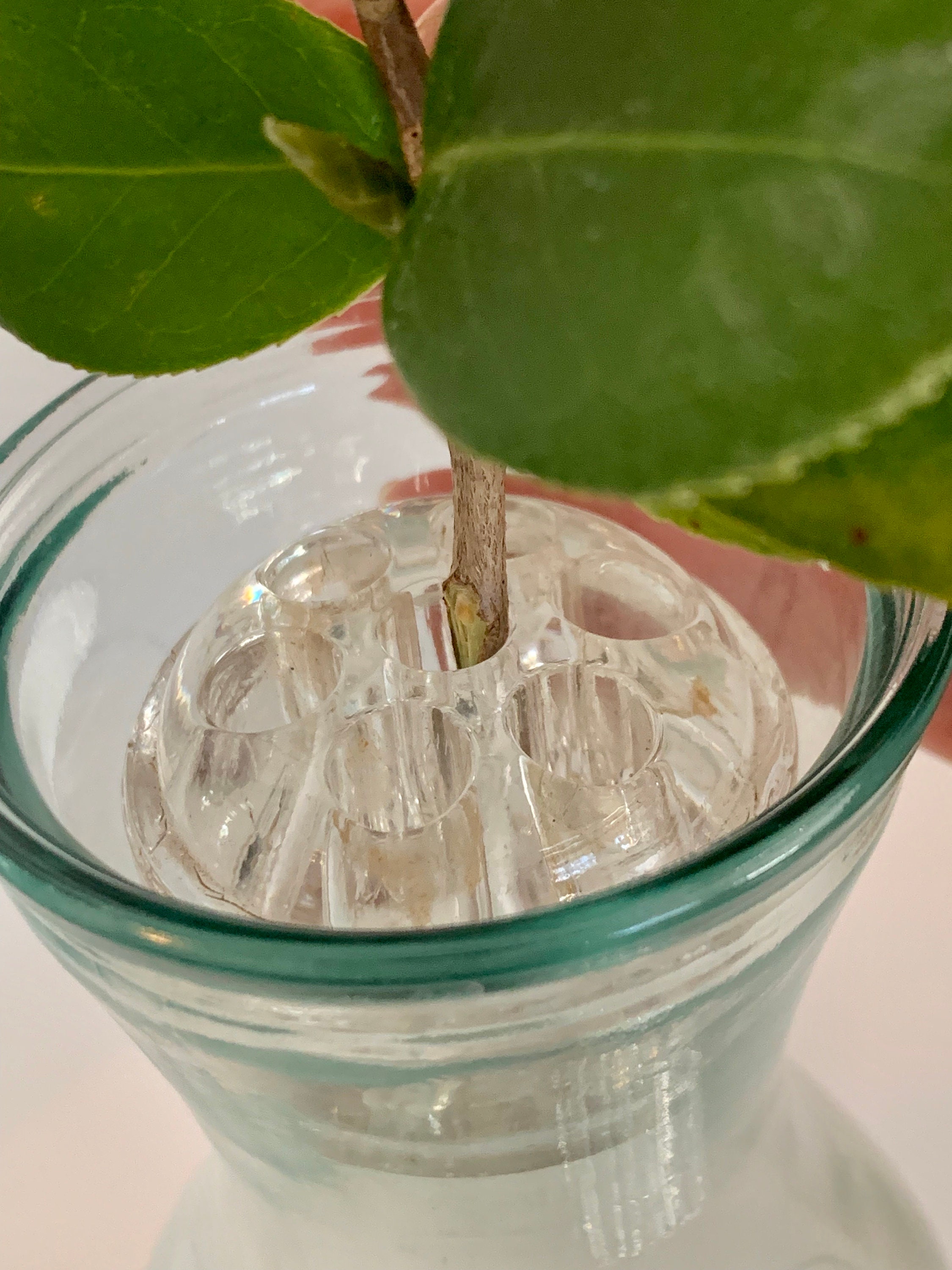 Vintage Westmorland 7 Hole Glass Clear Flower Frog - Etsy