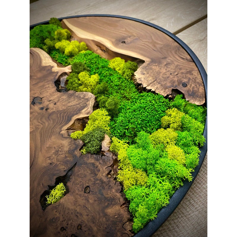 Preserved Moss Wall Art - Etsy