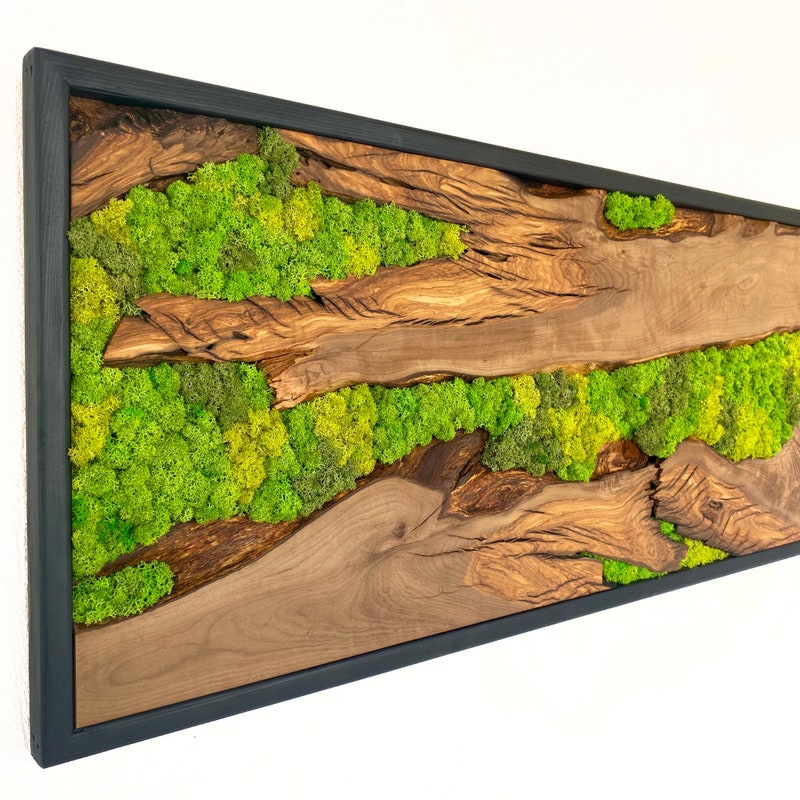 Moss Wall - Etsy