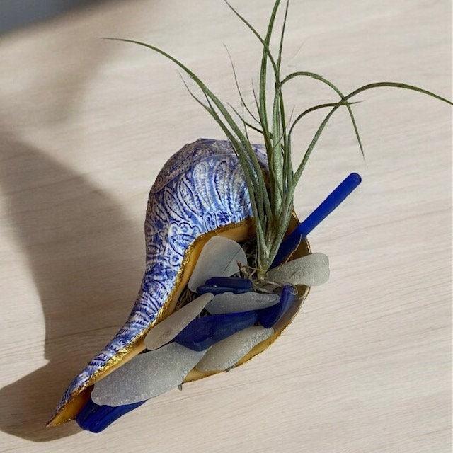Knobbed Whelk Planter, Air Plant, Decoupage, Blue and White Floral ...
