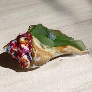 Psychedelic Knobbed Whelk Planter, Air Plant, Decoupage, Tie Dye, UV ...