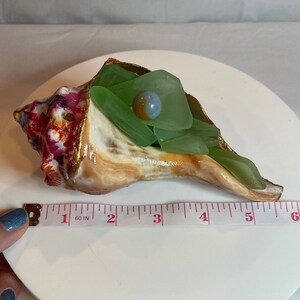 Psychedelic Knobbed Whelk Planter, Air Plant, Decoupage, Tie Dye, UV ...