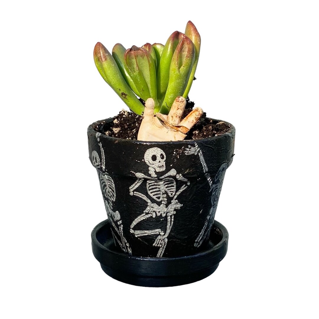 Succulent Planter~dead & Alive, Decoupaged 3" Pot, Creepy Doll Head ...