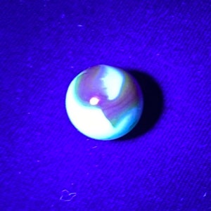 Psychedelic Knobbed Whelk Planter, Air Plant, Decoupage, Tie Dye, UV ...