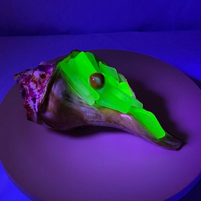 Psychedelic Knobbed Whelk Planter, Air Plant, Decoupage, Tie Dye, UV ...