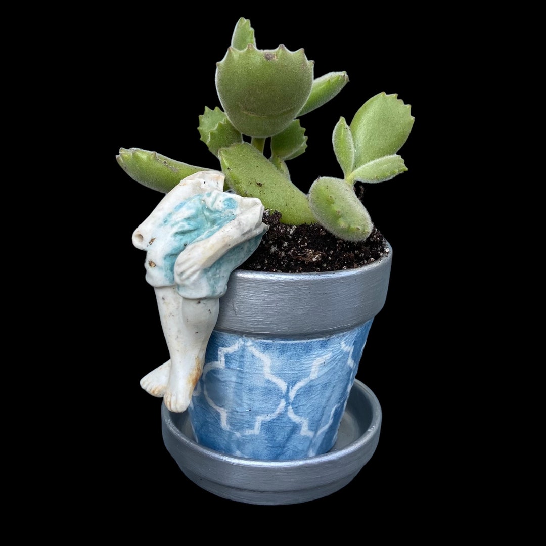Succulent Planter~dead & Alive, Decoupaged 3" Pot, Creepy Doll Head ...