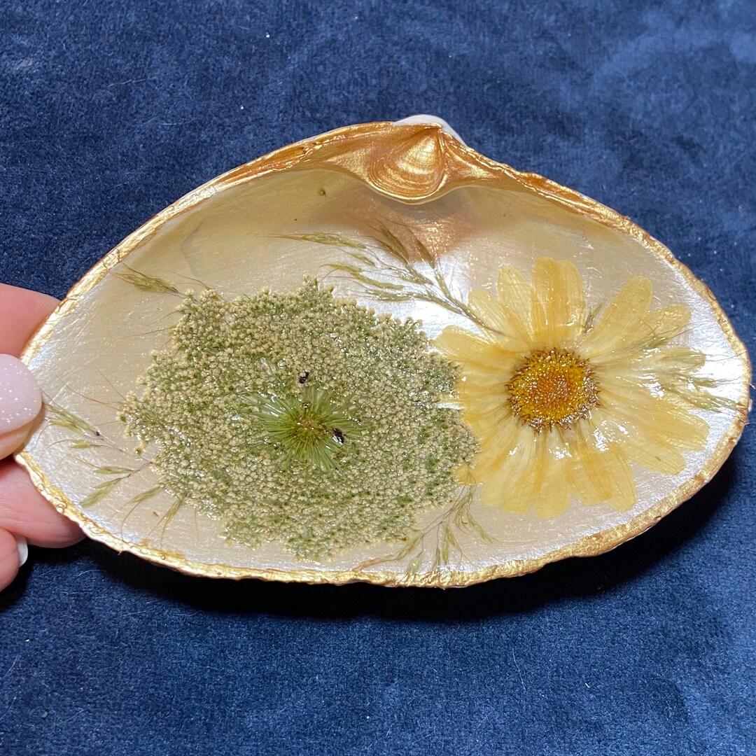 Clam Shell Dried Flower Trinket Jewelry Dish, Coastal Decor ...