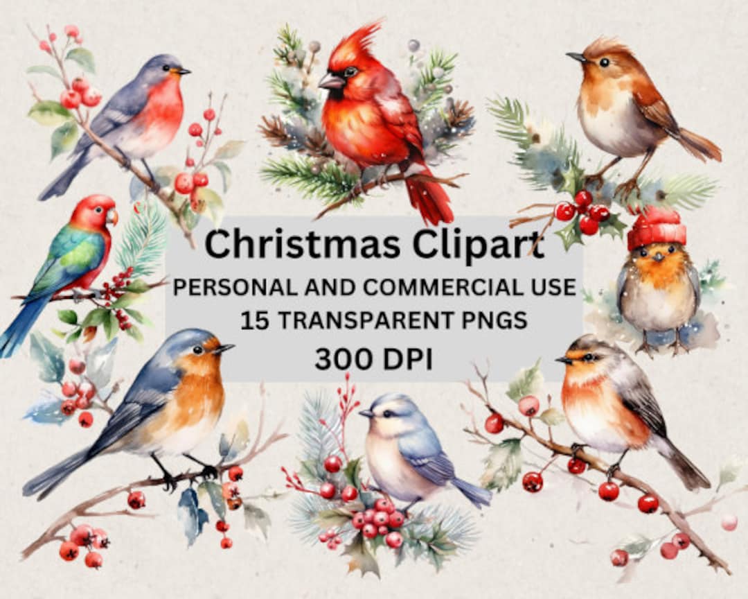 15 Christmas Birds Clipart, Birds Clipart, Watercolor Clipart, Holiday ...