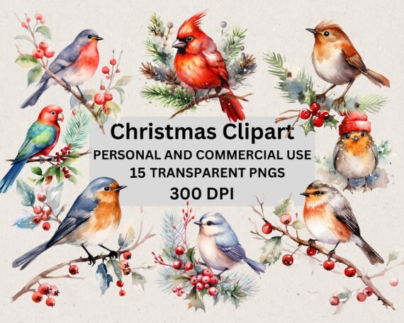 15 Christmas Birds Clipart Birds Clipart Watercolor Clipart - Etsy