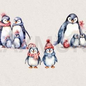 16 Penguins Clipart, Animal Clipart, Watercolor Clipart, Holiday ...