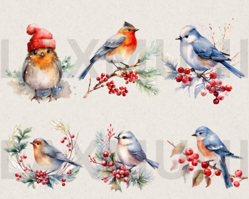 15 Christmas Birds Clipart, Birds Clipart, Watercolor Clipart, Holiday ...