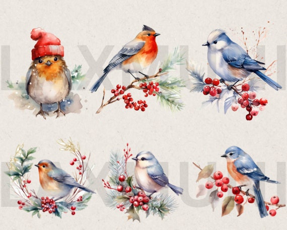 15 Christmas Birds Clipart Birds Clipart Watercolor Clipart - Etsy