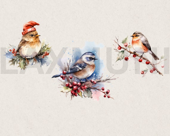 15 Christmas Birds Clipart Birds Clipart Watercolor Clipart - Etsy