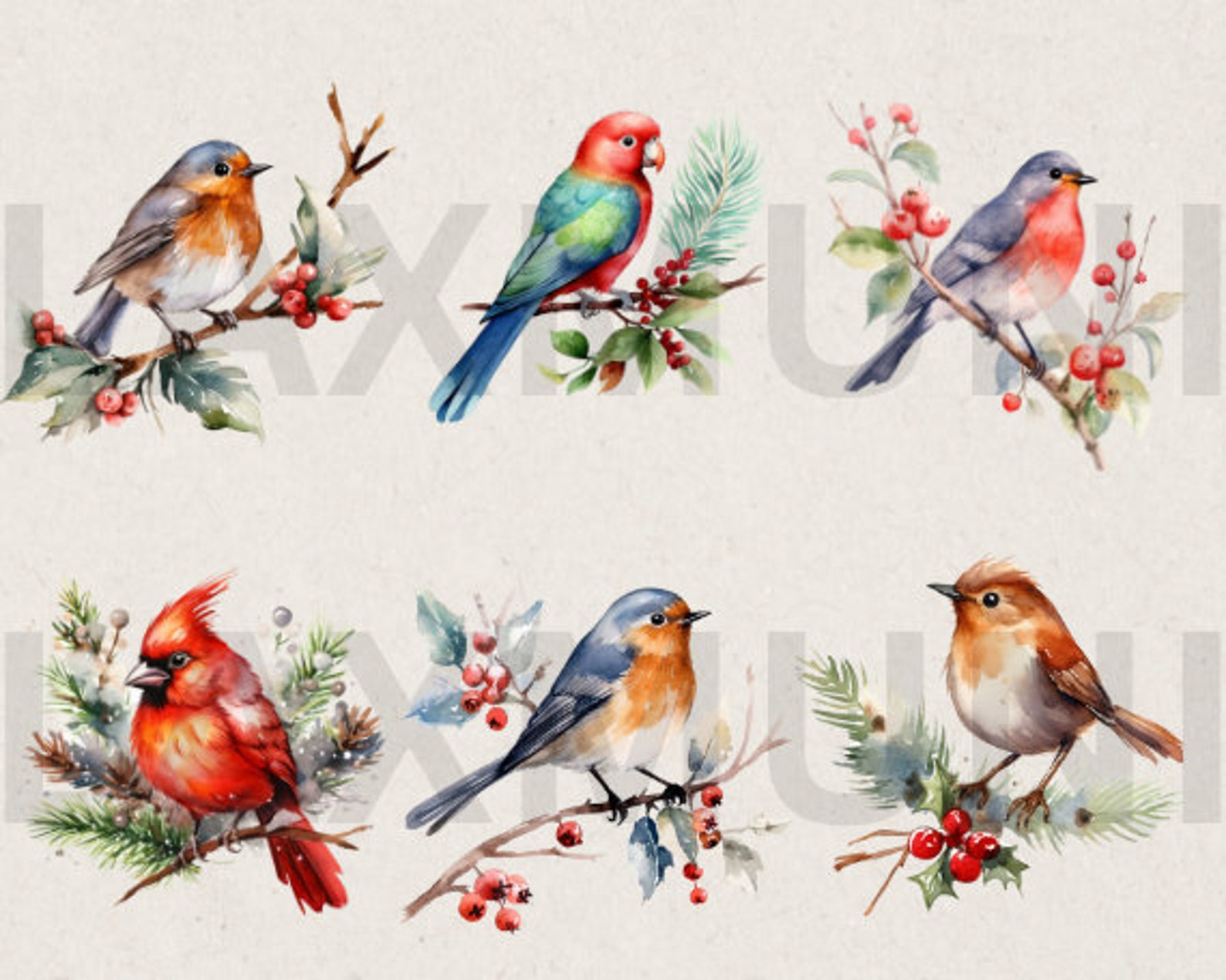 15 Christmas Birds Clipart, Birds Clipart, Watercolor Clipart, Holiday ...