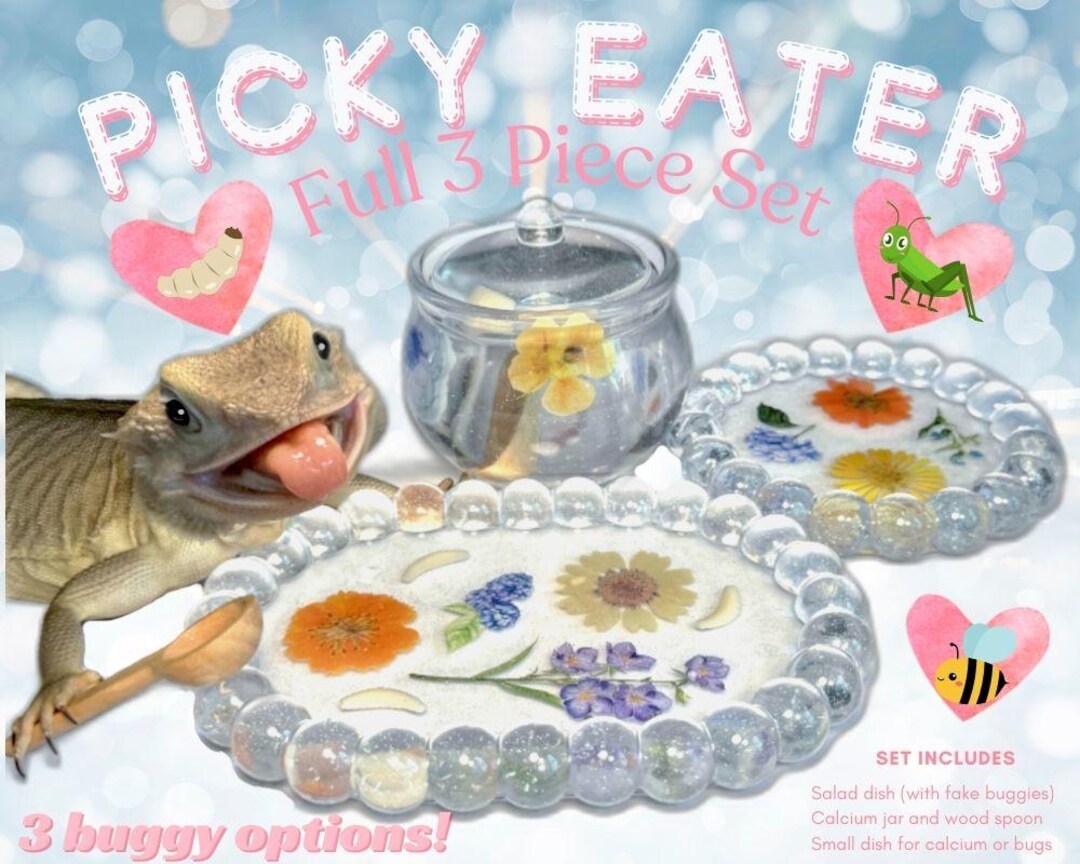 Custom Reptile Bowl Sets With Fake Bugs Inside! - Etsy