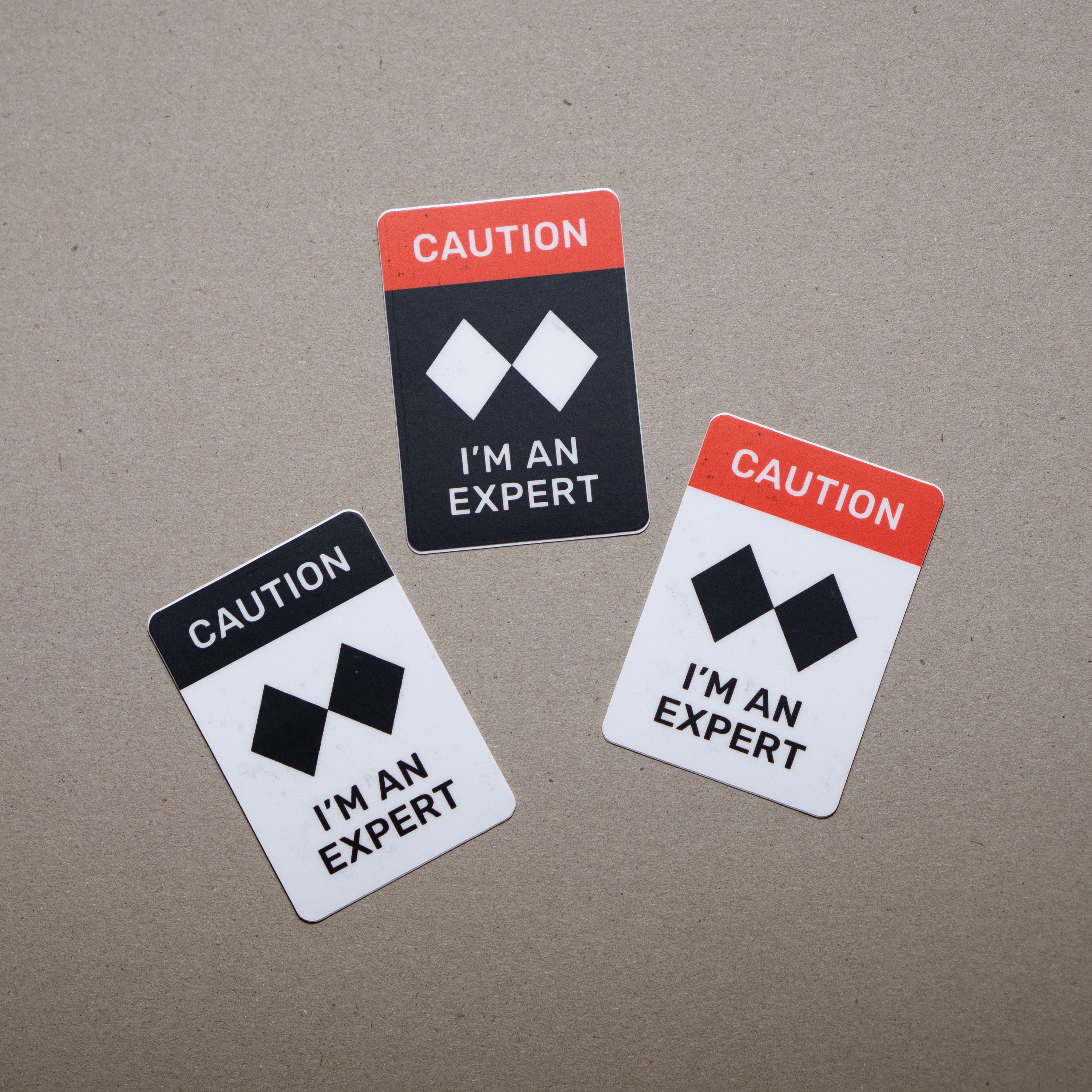 Expert Sticker Pack for Skiers and Snowboarders - Etsy
