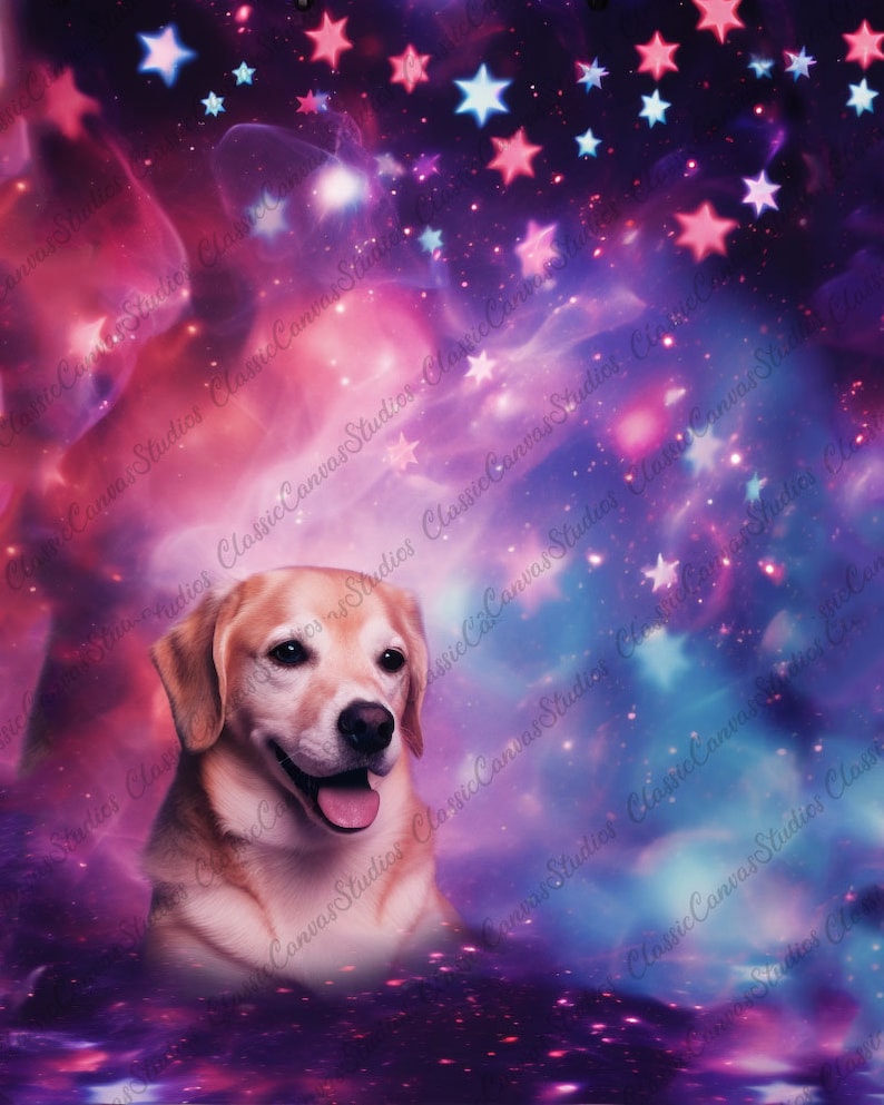 90's Trend Cheesy Photoshoot Digital Background, Studio Photography ...