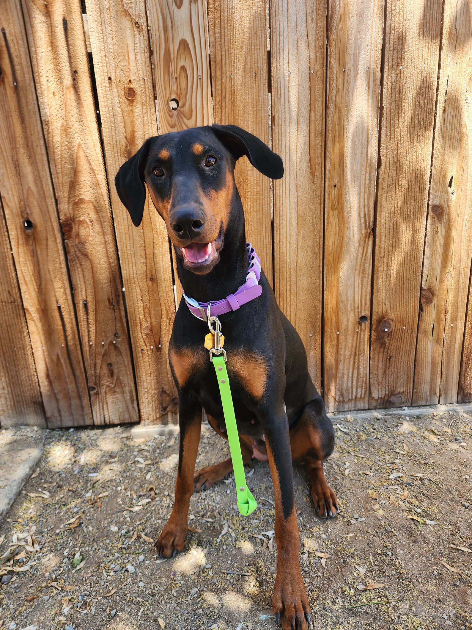 Traffic Tab Keep Your Dog Close, Vegan Leather, Water Resistant ...