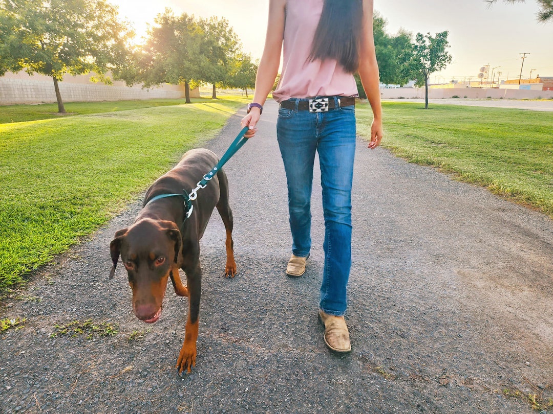 Traffic Leash – Vegan Leather, Water-resistant, Durable Dog Handle - Etsy