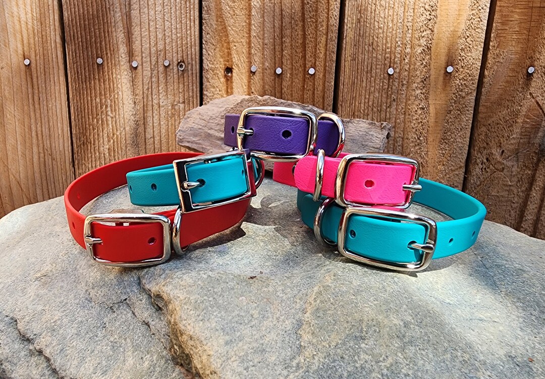 Solid Dog Collar 3/4"- Vegan Leather, Water Resistant, Durable and Easy ...