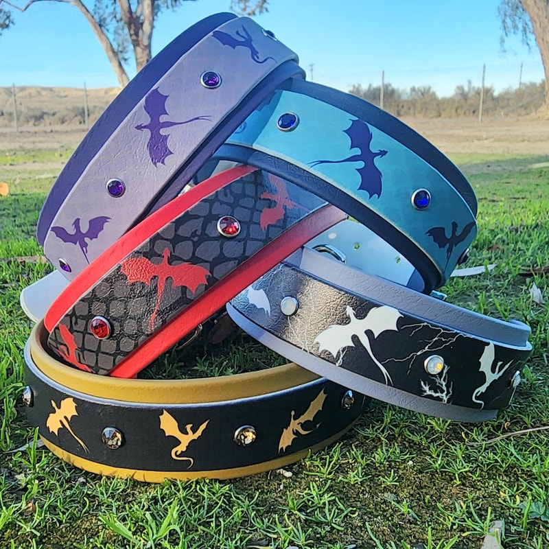 Dragon Dog Collar - Etsy