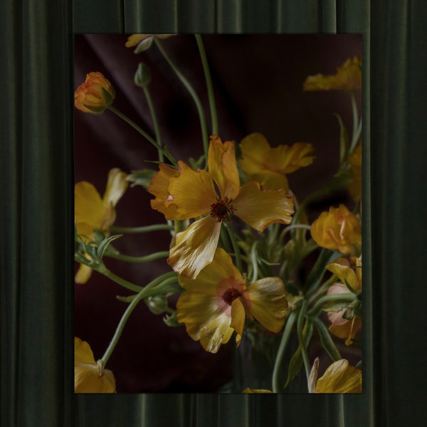 Gothic Photography - Etsy