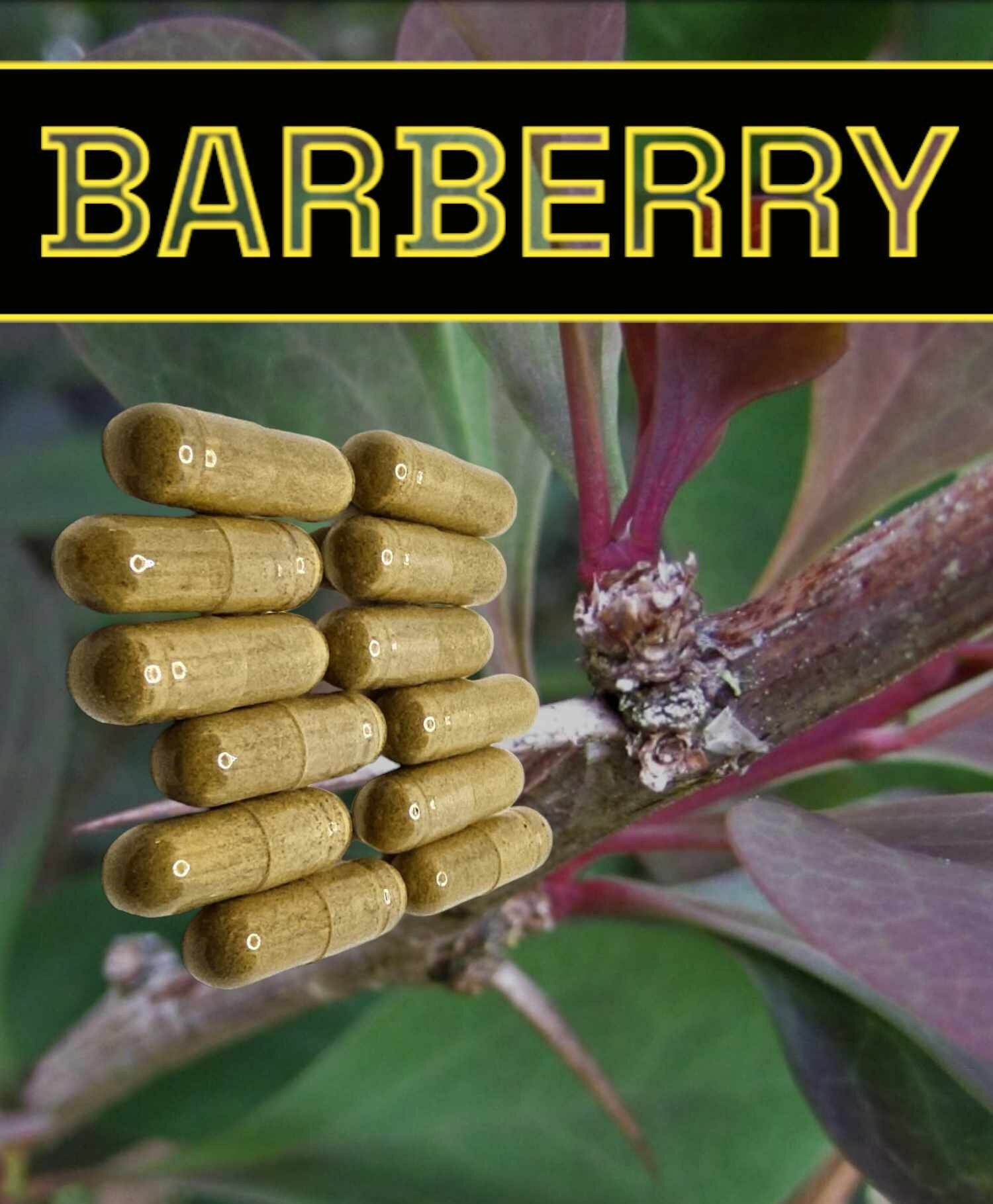 200 Capsules Barberry - Etsy