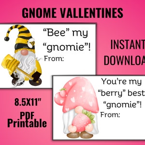 Printable Gnome Valentine Cards for Friends Valentine Cards for ...