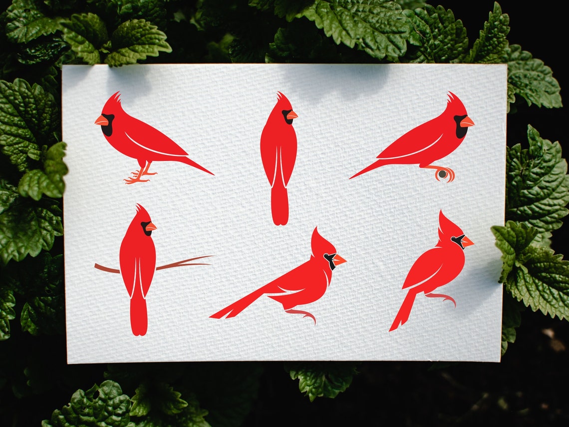Red Cardinal Svg Bundle Red Cardinal Svg Red Cardinal Heart - Etsy