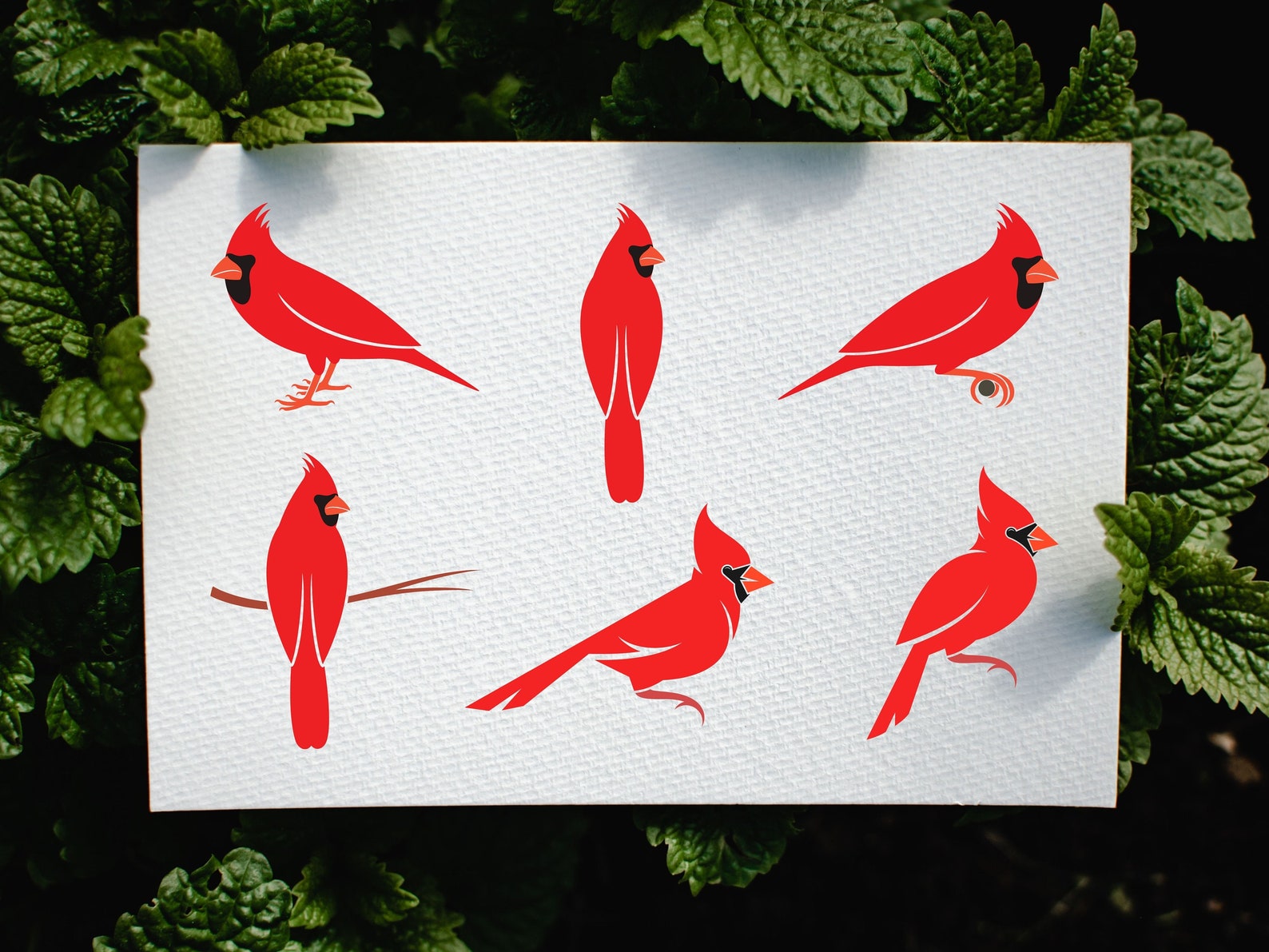 Red Cardinal Svg Bundle, Red Cardinal Svg, Red Cardinal Heart Svg ...