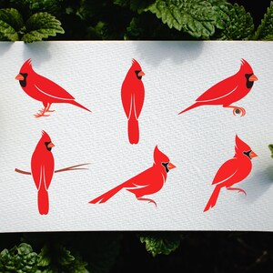 Red Cardinal Svg Bundle, Red Cardinal Svg, Red Cardinal Heart Svg ...