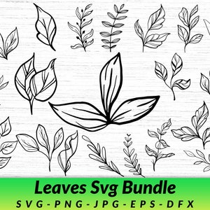 Botanical Leaf SVG Bundle: Foliage, Floral, Plant Designs (digital ...