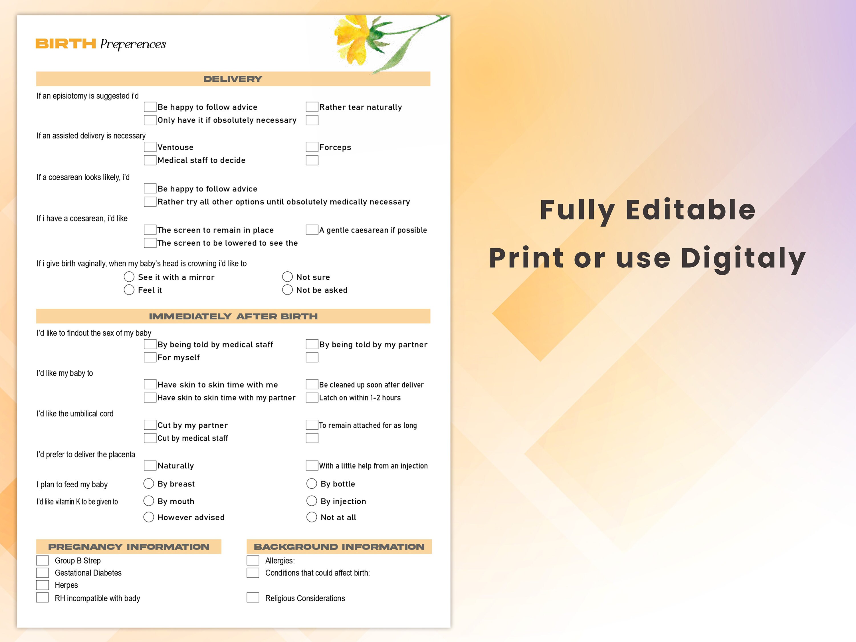 Birth Preferences, Editable Birth Plan Template, Editable Birth Plan ...