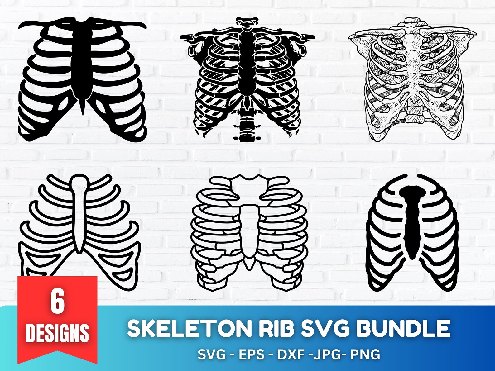 Skeleton Rib Svg Bundle, Skeleton Rib Png, Skeleton Rib Clipart ...
