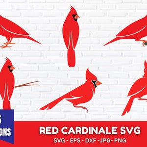 Red Cardinal Svg Bundle, Red Cardinal Svg, Red Cardinal Heart Svg ...