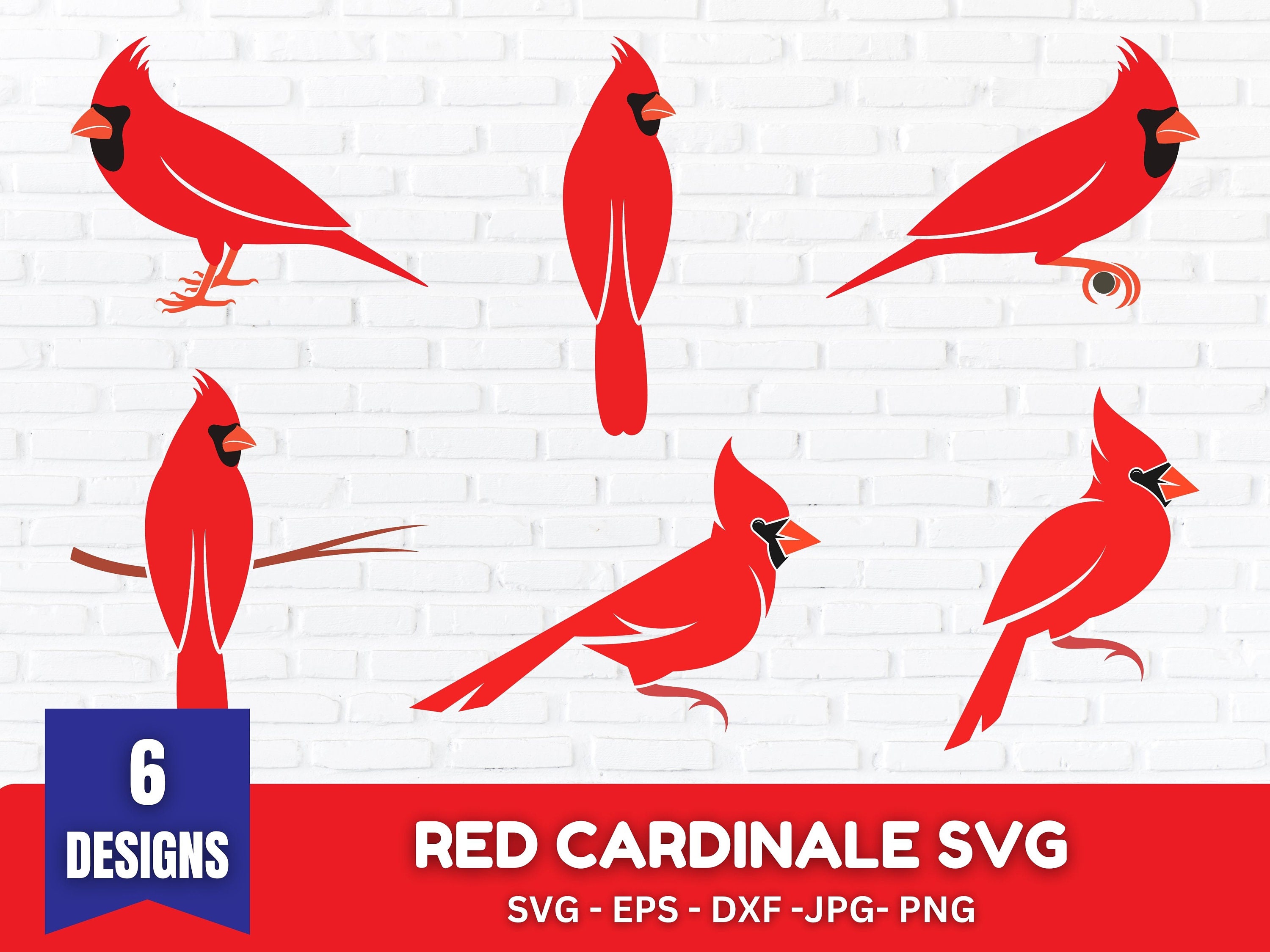 Red Cardinal Svg Bundle, Red Cardinal Svg, Red Cardinal Heart Svg ...