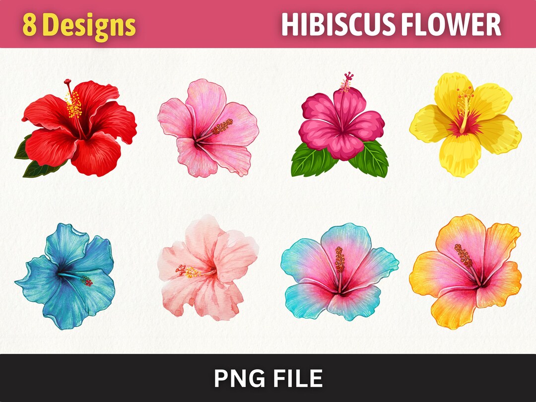 Hibiscus Flower PNG, Clipart Bundle, 300 Dpi JPEG, 300 DPI Transparent ...