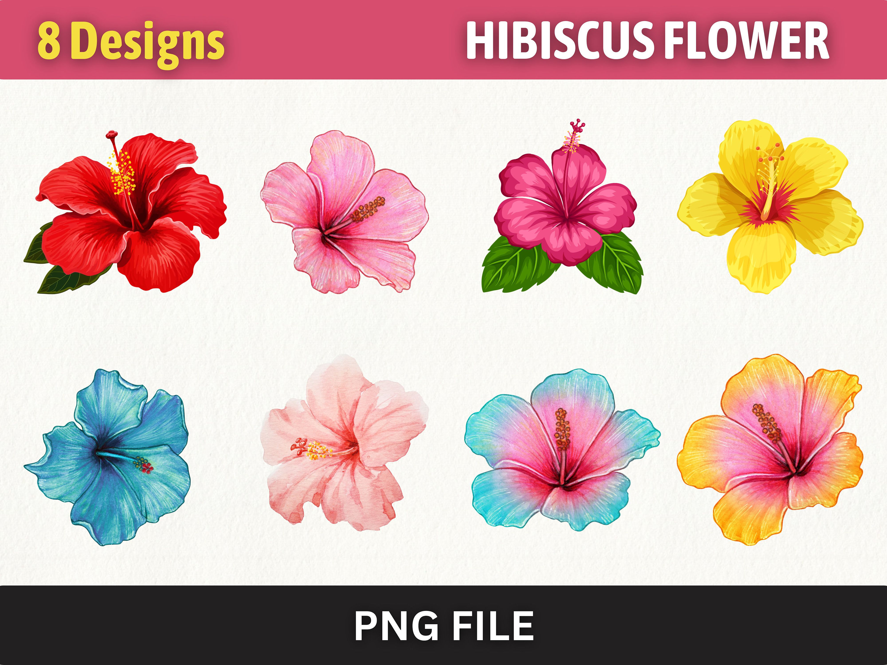 Hibiscus Flower PNG, Clipart Bundle, 300 Dpi JPEG, 300 DPI Transparent ...