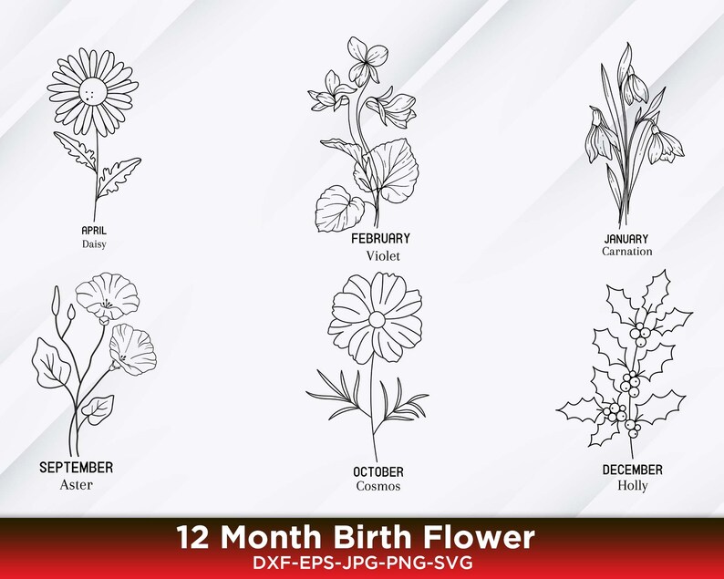 Birth Month Flower Bouquet SVG: Wildflower Floral Design (digital ...