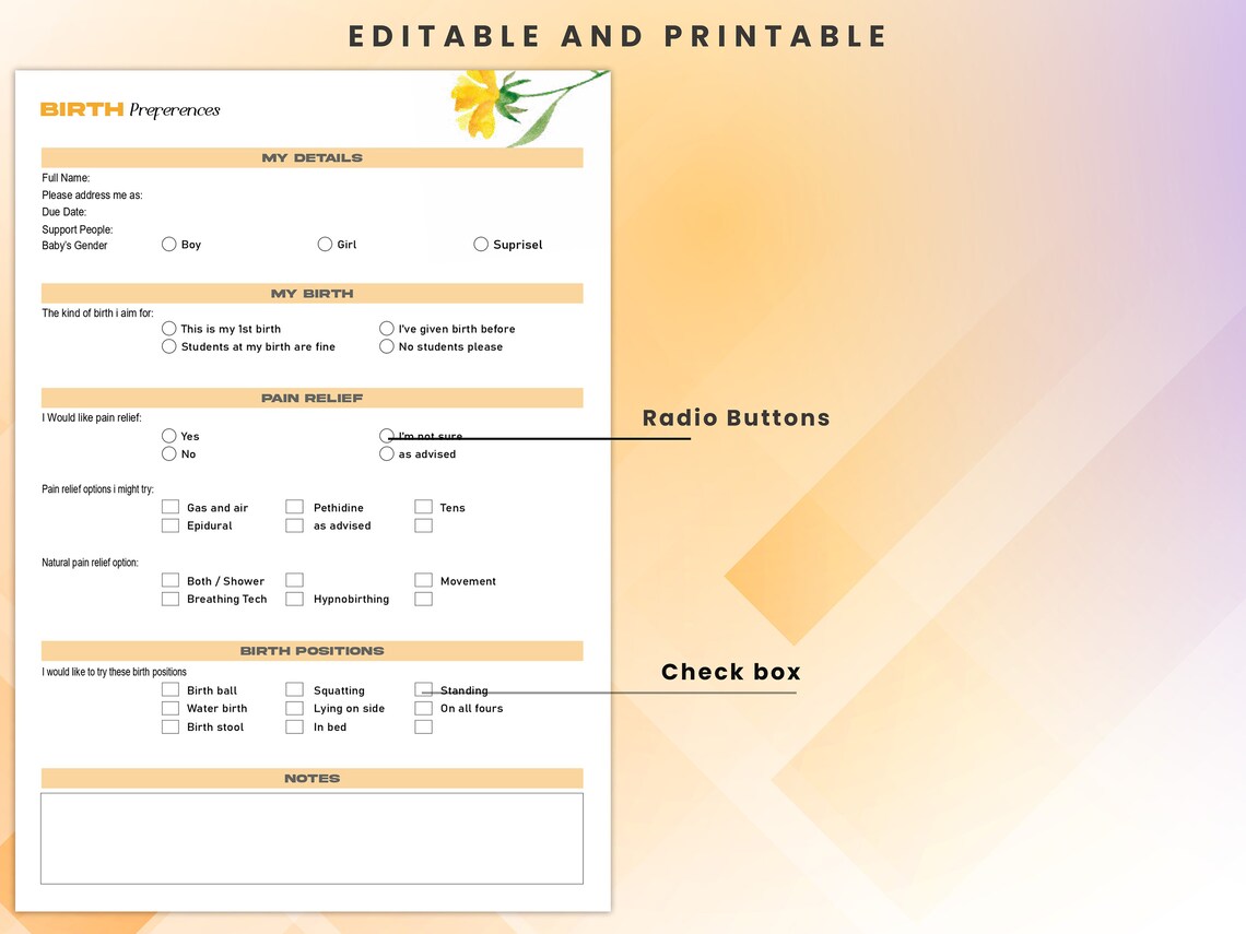 Editable Birth Plan Template: Printable Labor & Delivery Preferences ...