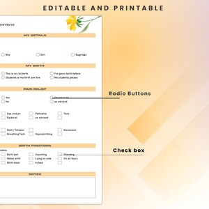 Birth Preferences, Editable Birth Plan Template, Editable Birth Plan ...