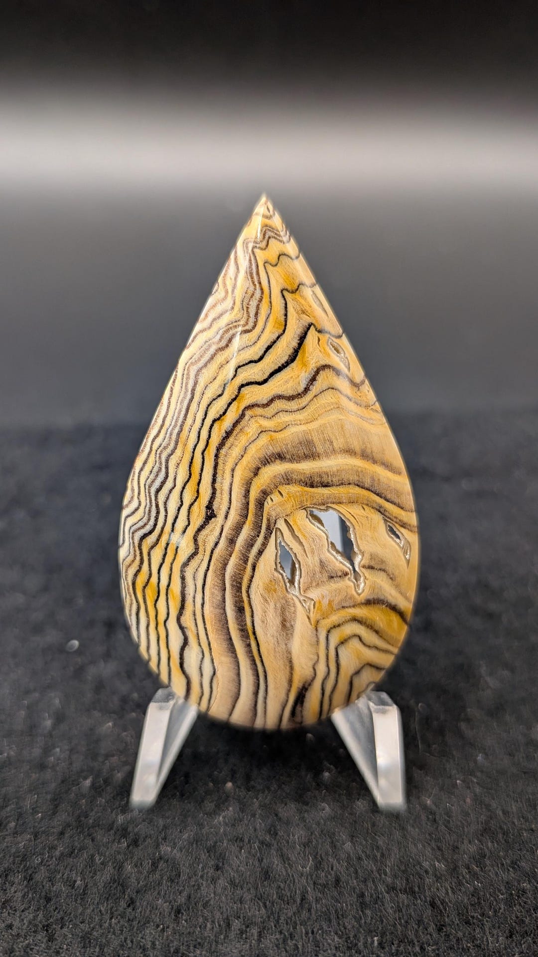 Hells Canyon Petrified Wood - Etsy