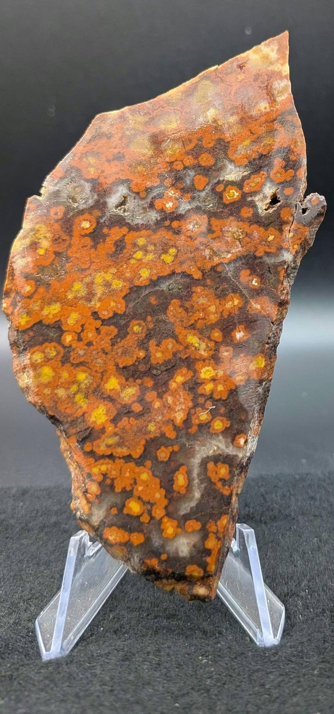 Morgan Hill Poppy Jasper Slab - Etsy