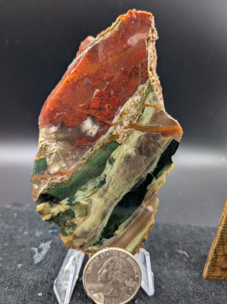 Jasperella or Christmas Tree Jasper/agate - Etsy