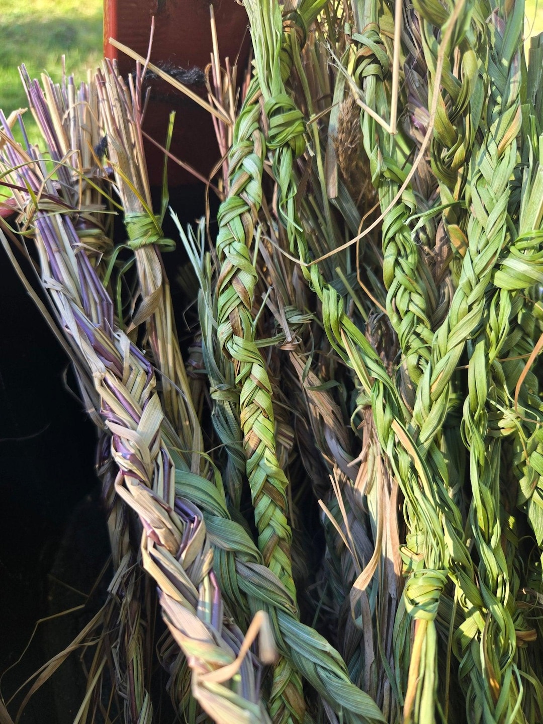 Montana Sweetgrass Braids: Hand-foraged Braided Sweetgrass Bundles - Etsy