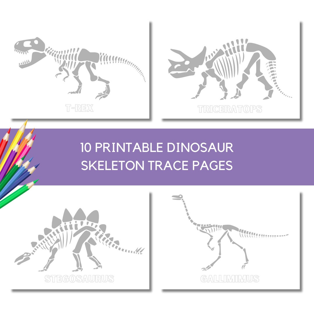 Dinosaur Trace Pattern Pages - Printables - Colouring Pages - Digital ...