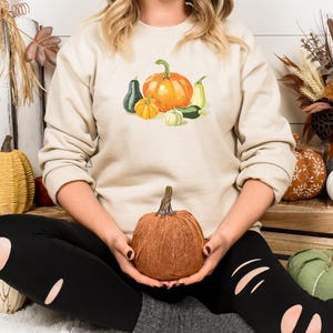 Pumpkin & Squash Family Sweatshirt, Fall Season Shirt, Thanksgiving ...