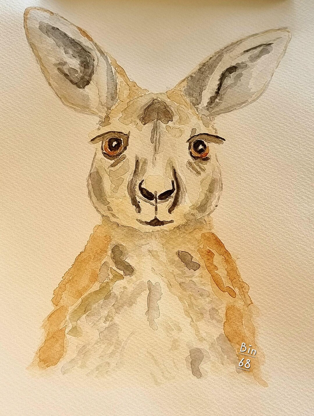 Eastern Grey Kangaroo in Watercolour - Etsy