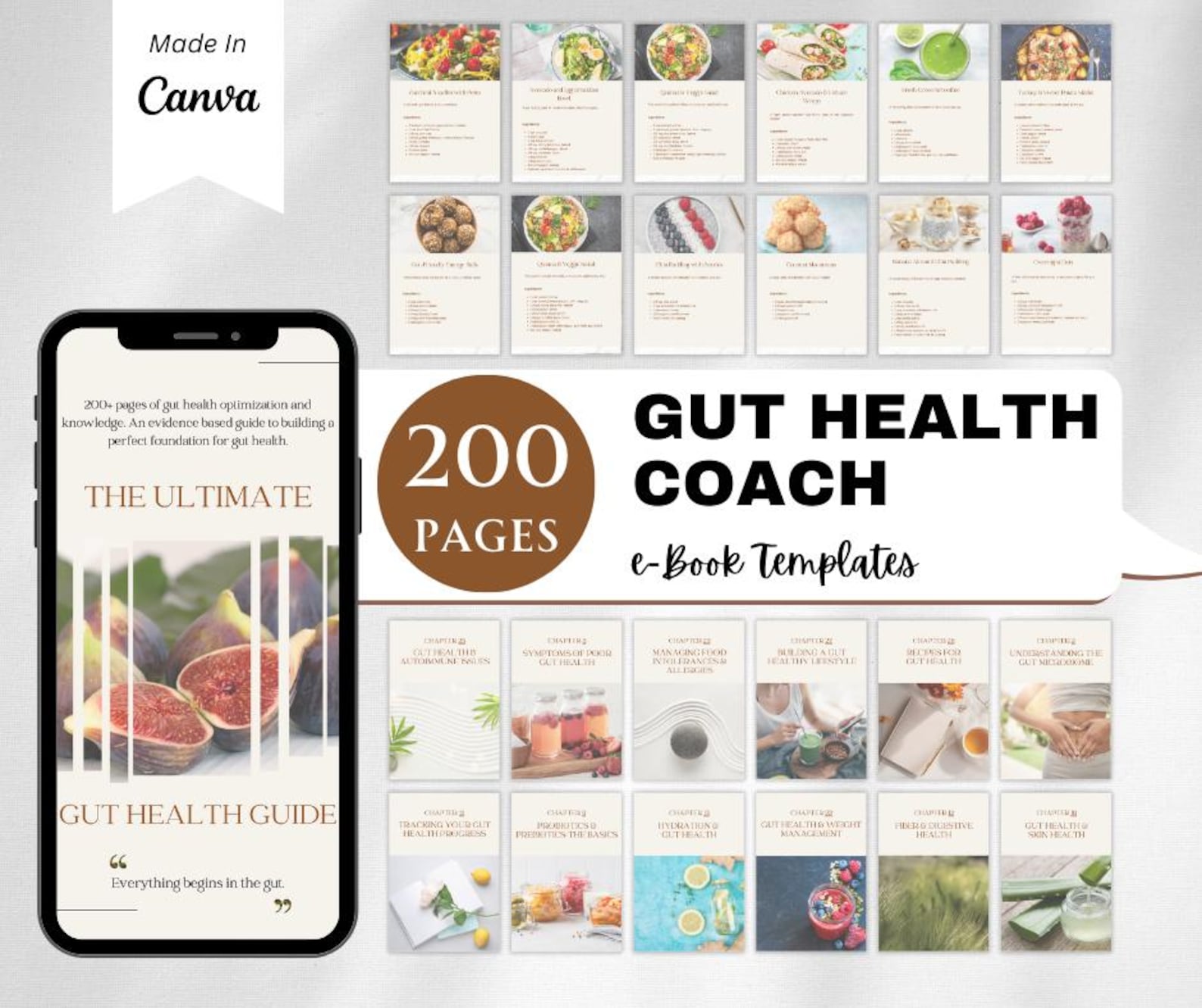 Gut Health Guide Templates for Coaches | Customizable Wellness Program ...