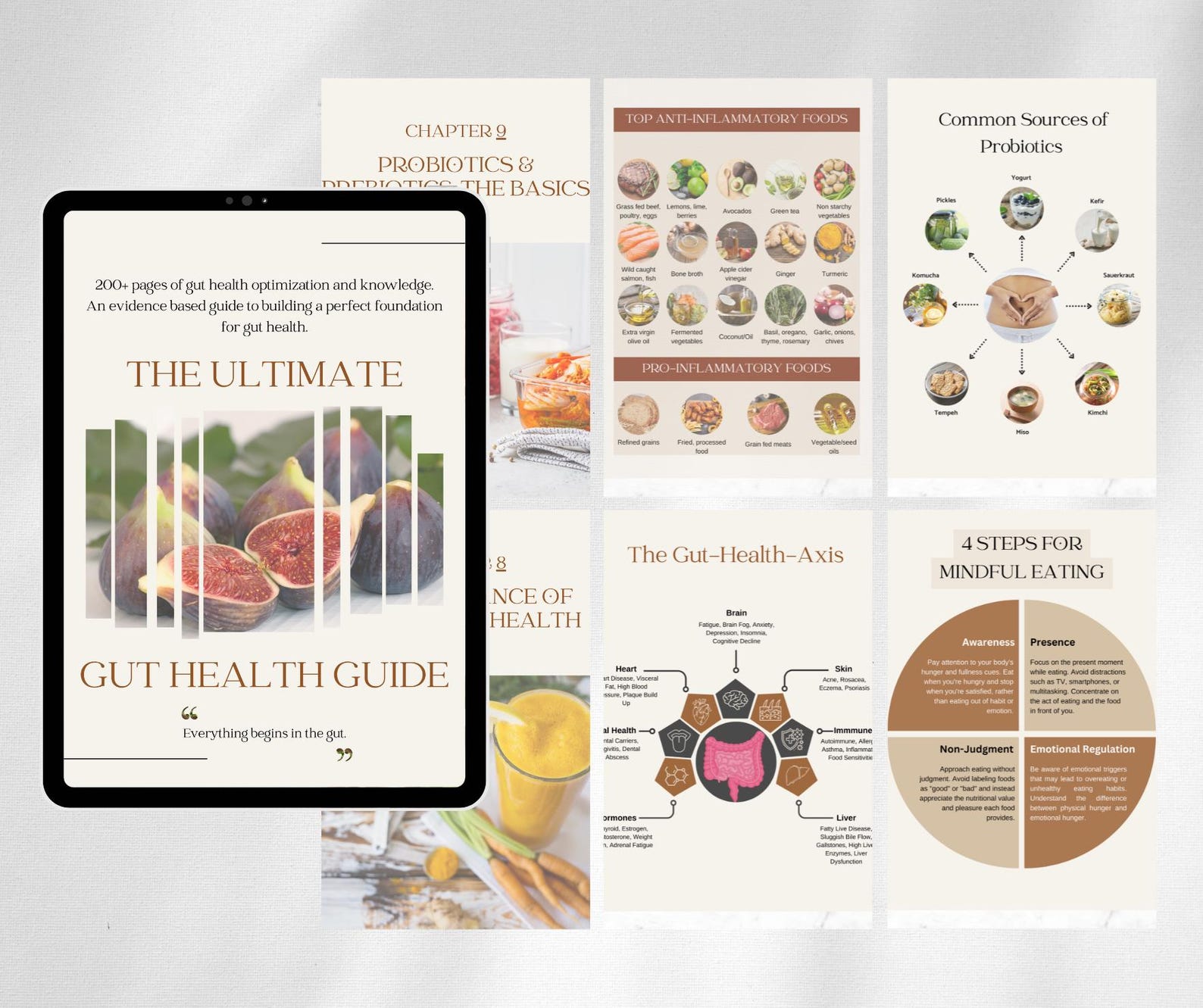 Gut Health Guide Templates for Coaches | Customizable Wellness Program ...